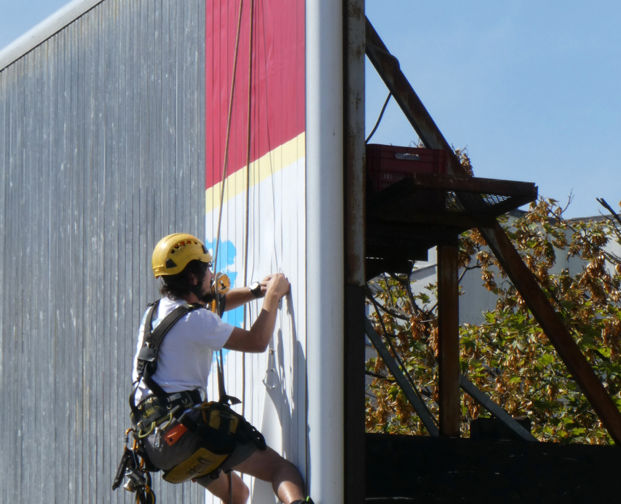 Home Page - Tower Window Cleaning